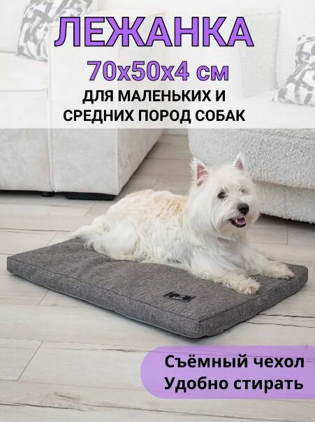Лежанка для собак средних и мелких пород 70х50х4