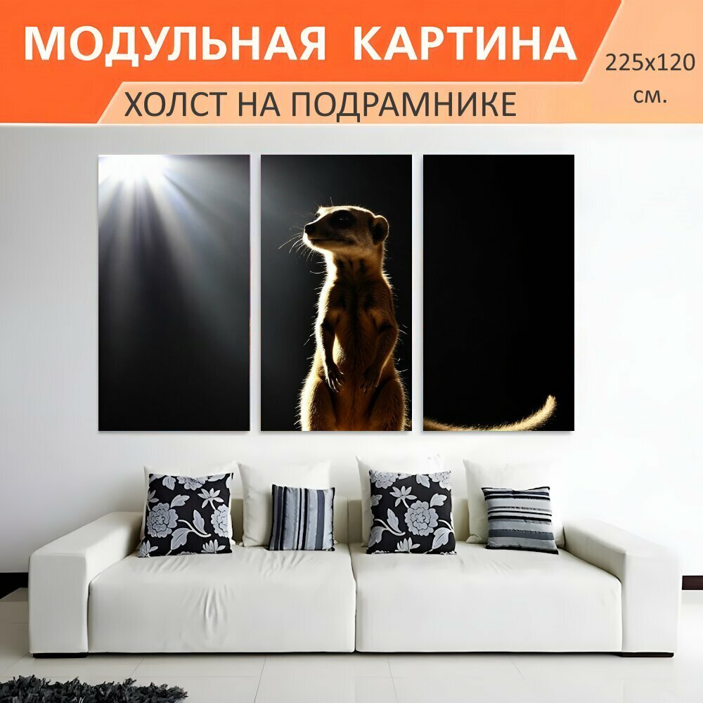 Модульная картина на холсте "Силуэт суриката на сцене, освещённый ярким светом сверху, на темном фоне. Сурикат стоит прямо, создавая." триптих на подрамнике 225х120 см. для интерьера