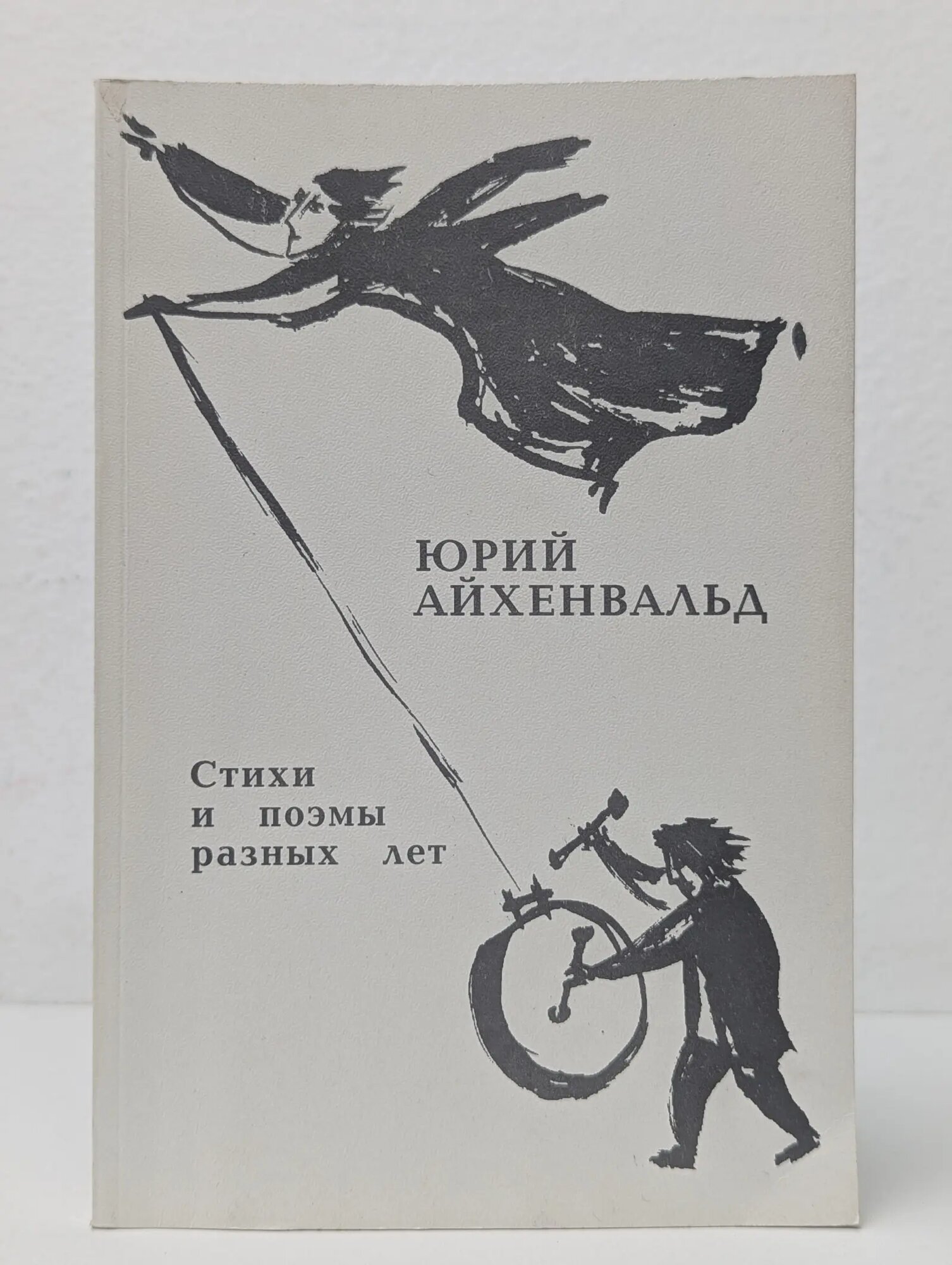 Юрий Айхенвальд. Стихи и поэмы разных лет Айхенвальд Юрий Александрович 1994