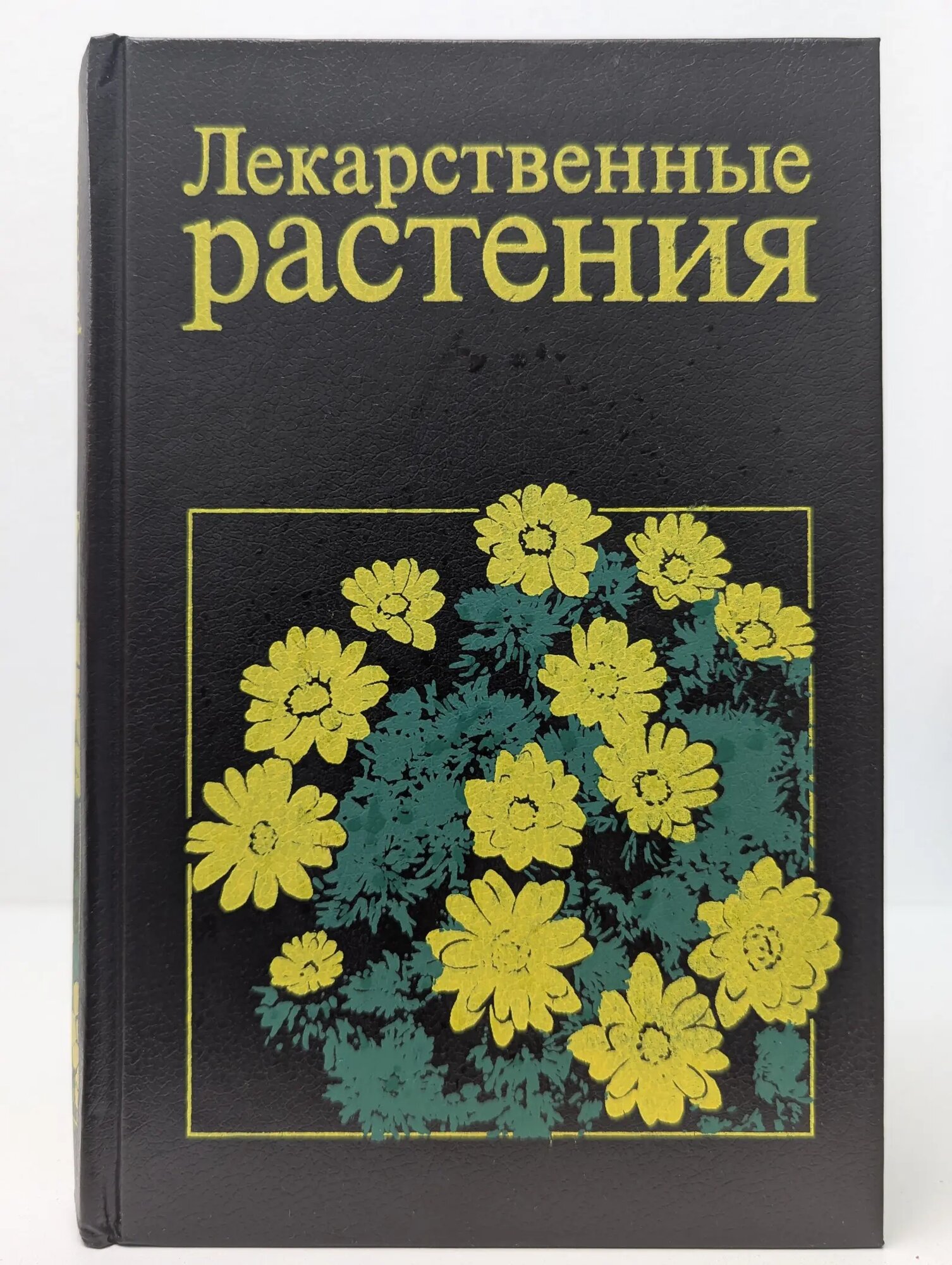 Лекарственные растения Гринкевич Нелли Ивановна, Баландина Ирина Анатольевна, Ермакова Валентина Алексеевна 1992