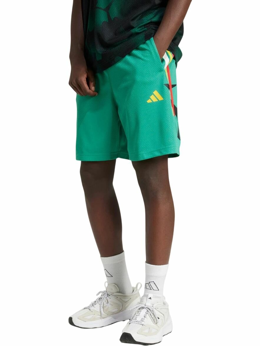 Шорты спортивные House of Tiro Nations Pack Shorts