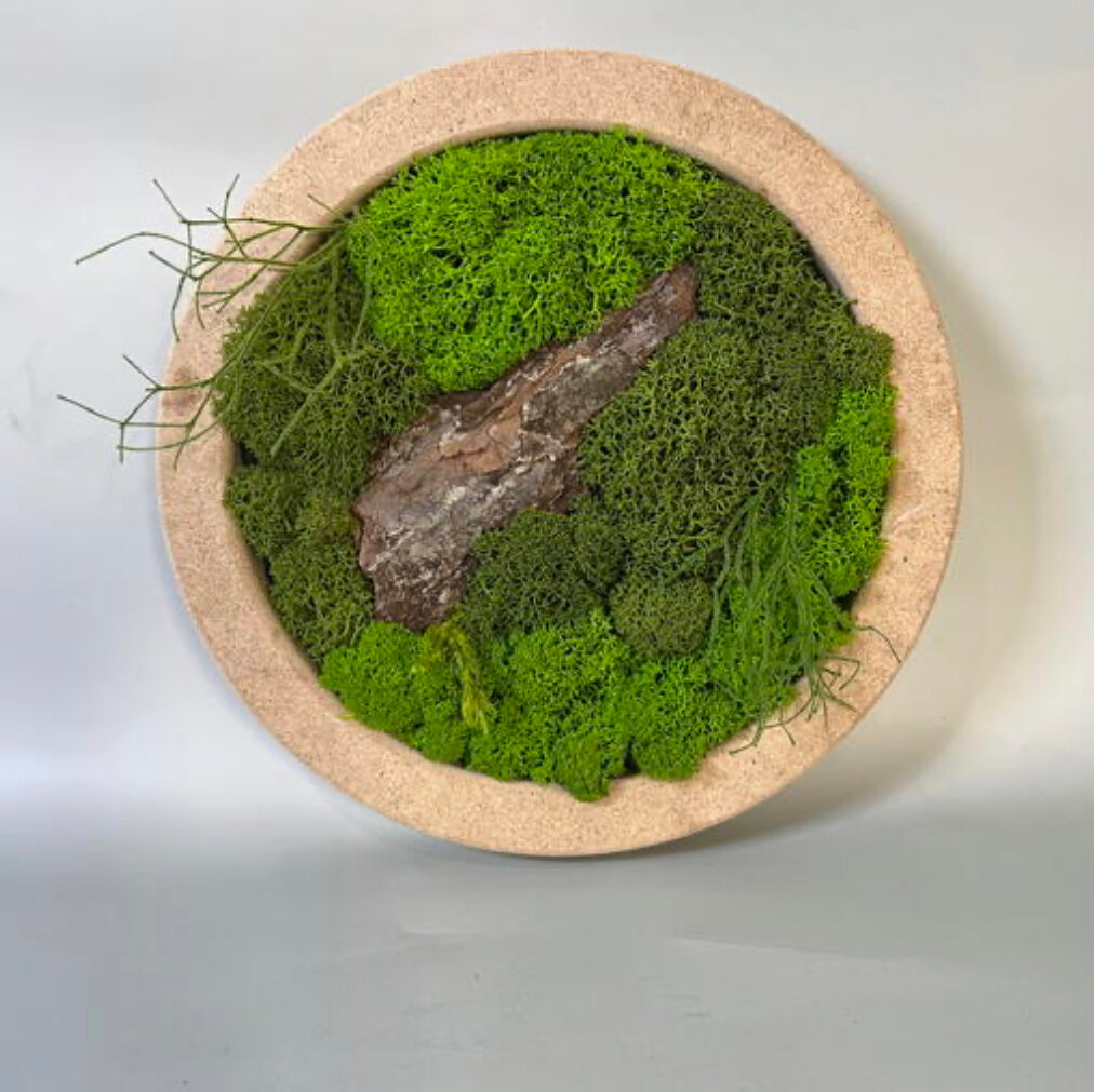Панно "Лесная красота", стабилизированный мох, круглая рамка, диаметр 20см