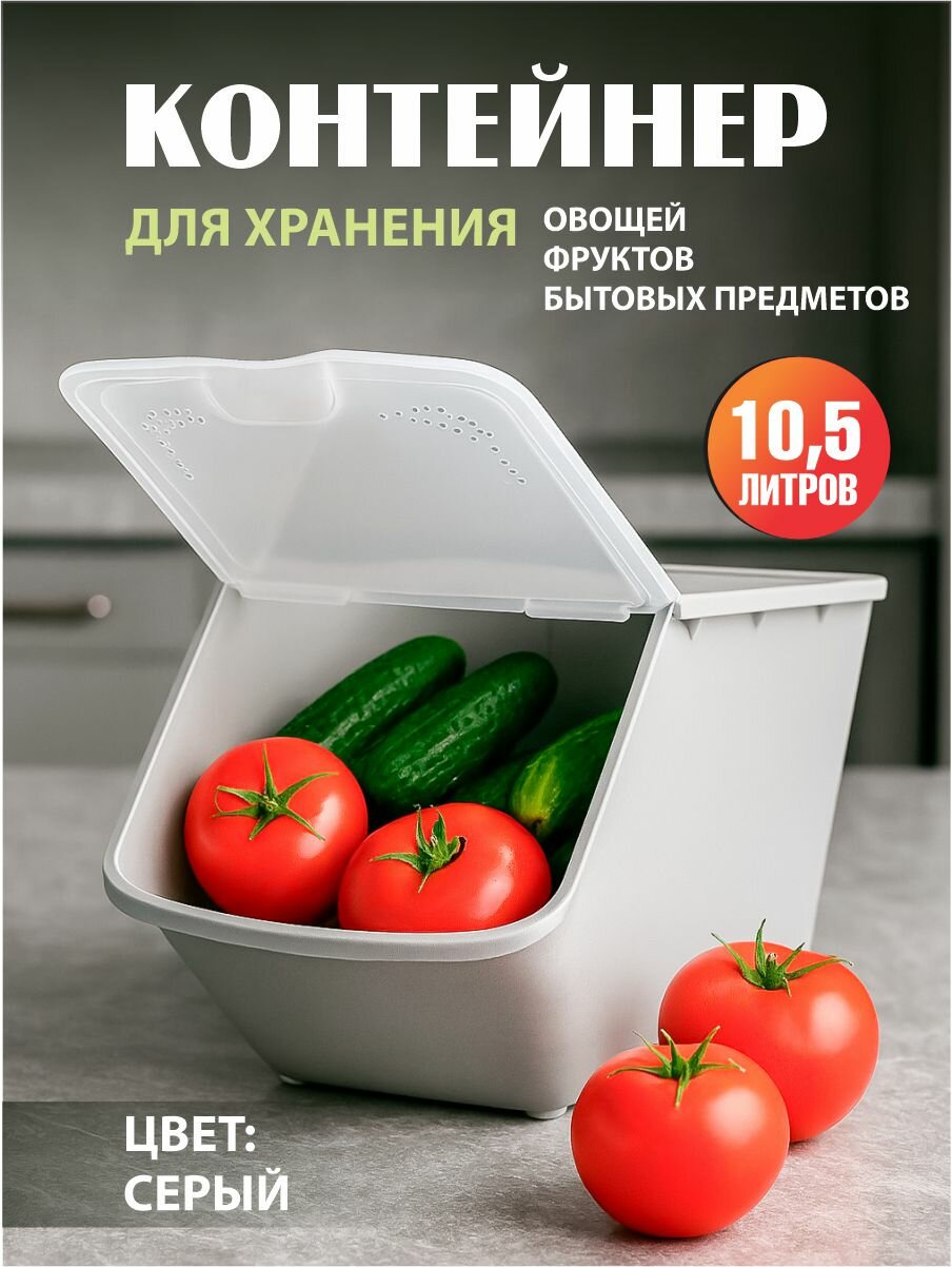 Контейнер универсальный с откидной крышкой Альт-Пласт 10,5л серый