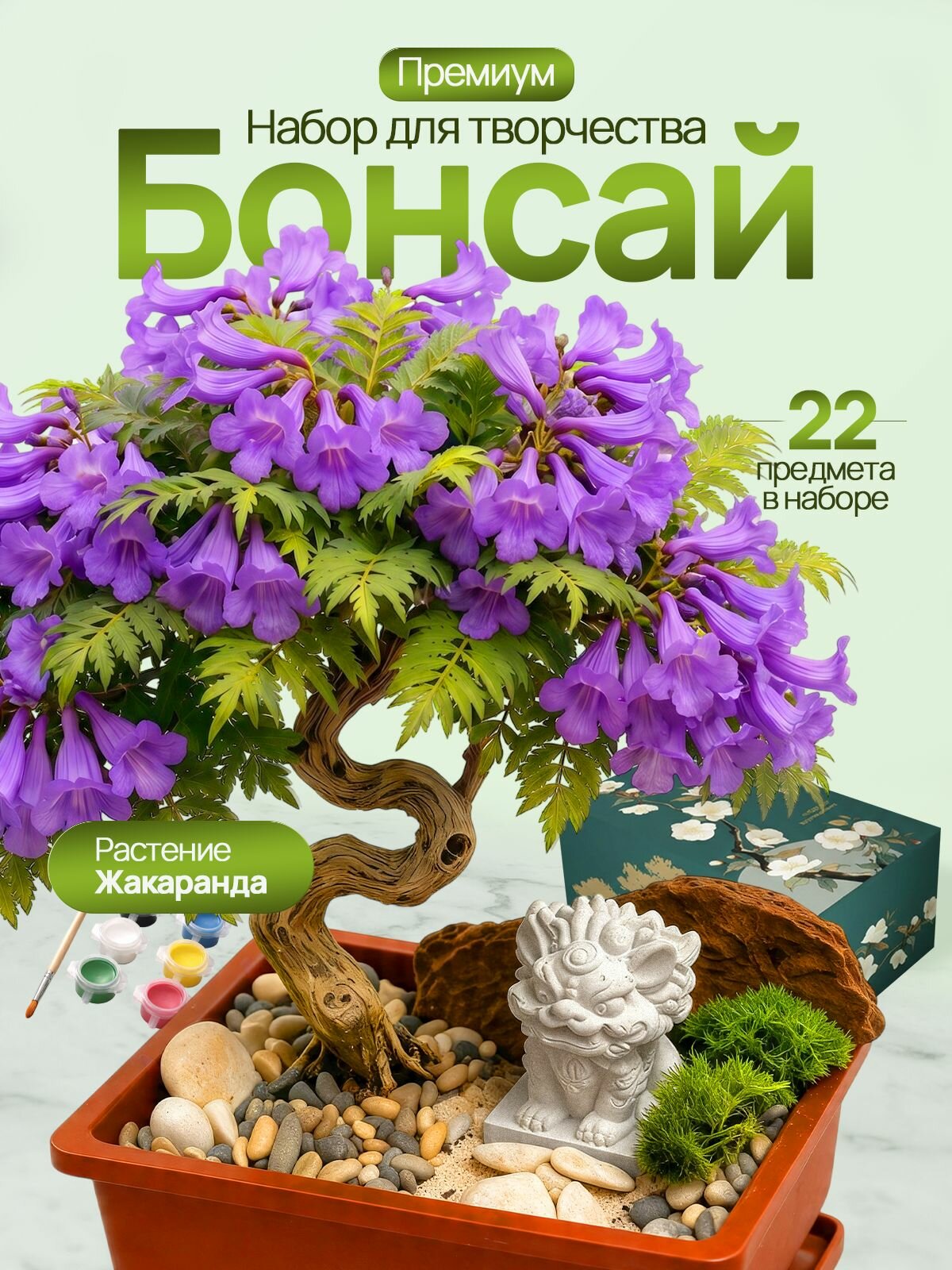 Бонсай большой подарочный набор для выращивания растений Жакаранда
