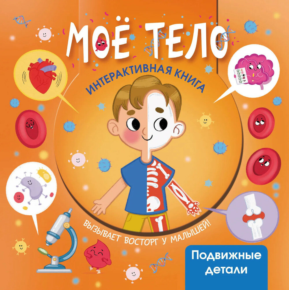 Мое тело. Интерактивная книга с подвижными элементами. Menin денем.