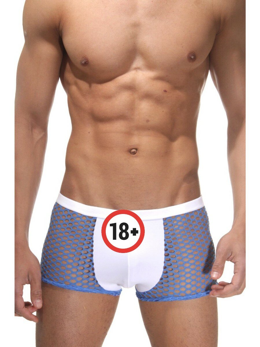 Трусы мужские боксеры голубые в сеточку LaBlinque LB15044 L/XL (50-52)