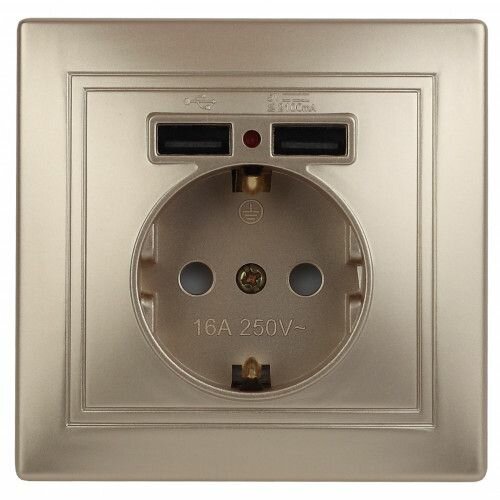 Розетка 1-м СП Plano 1-410-04 16А IP20 + 2хUSB шампань Intro Б0053945