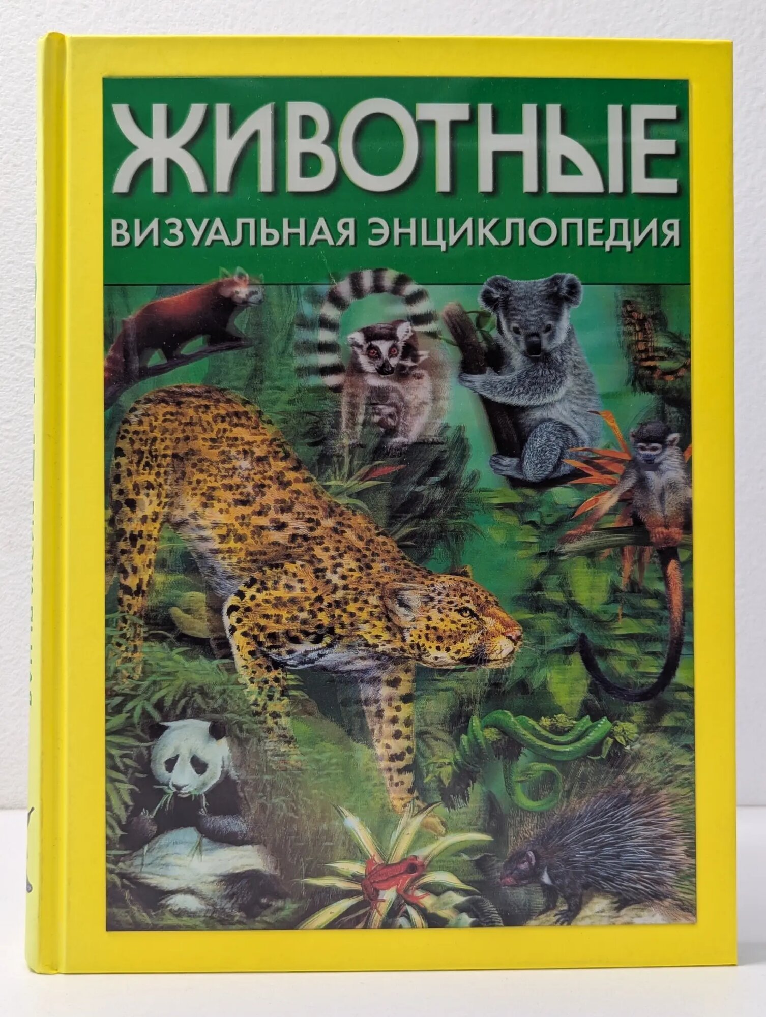Животные. Визуальная энциклопедия Джексон Том 2013