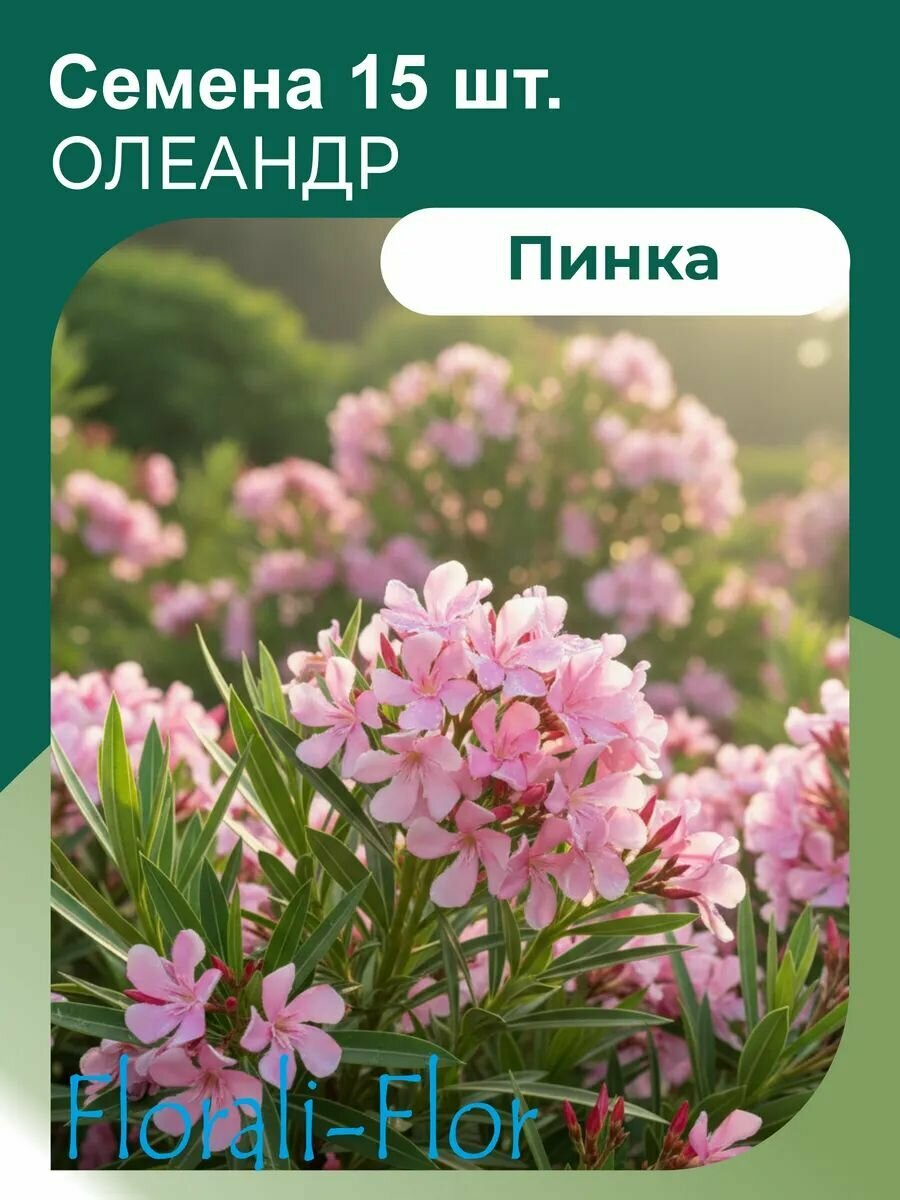 Олеандр Семена