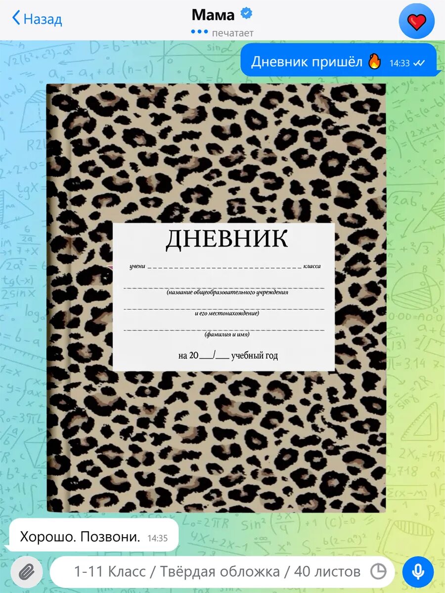 Школьный дневник с принтом y2k pinterest