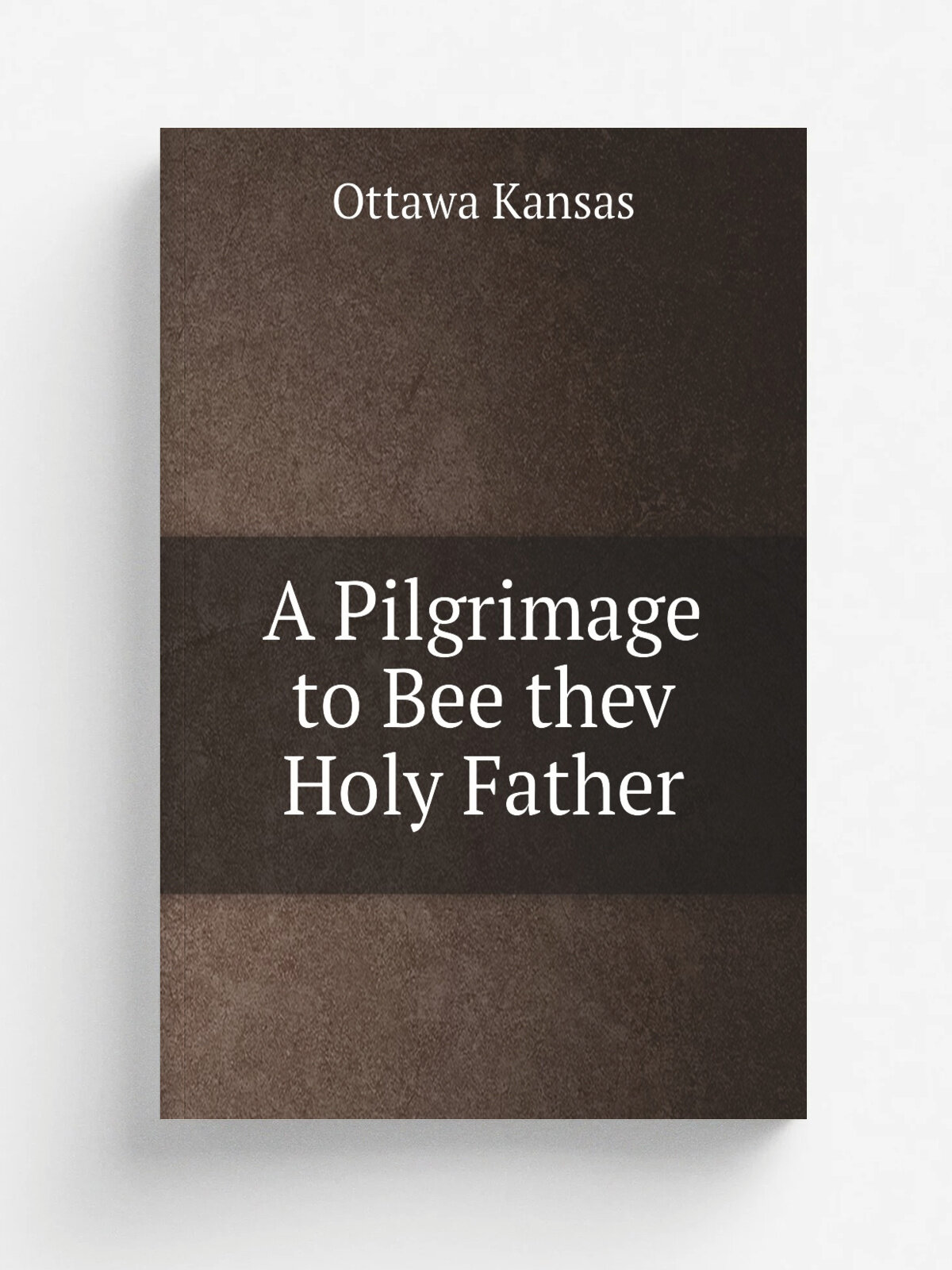 A Pilgrimage to Bee thev Holy Father | Ottawa Kansas | Репринт