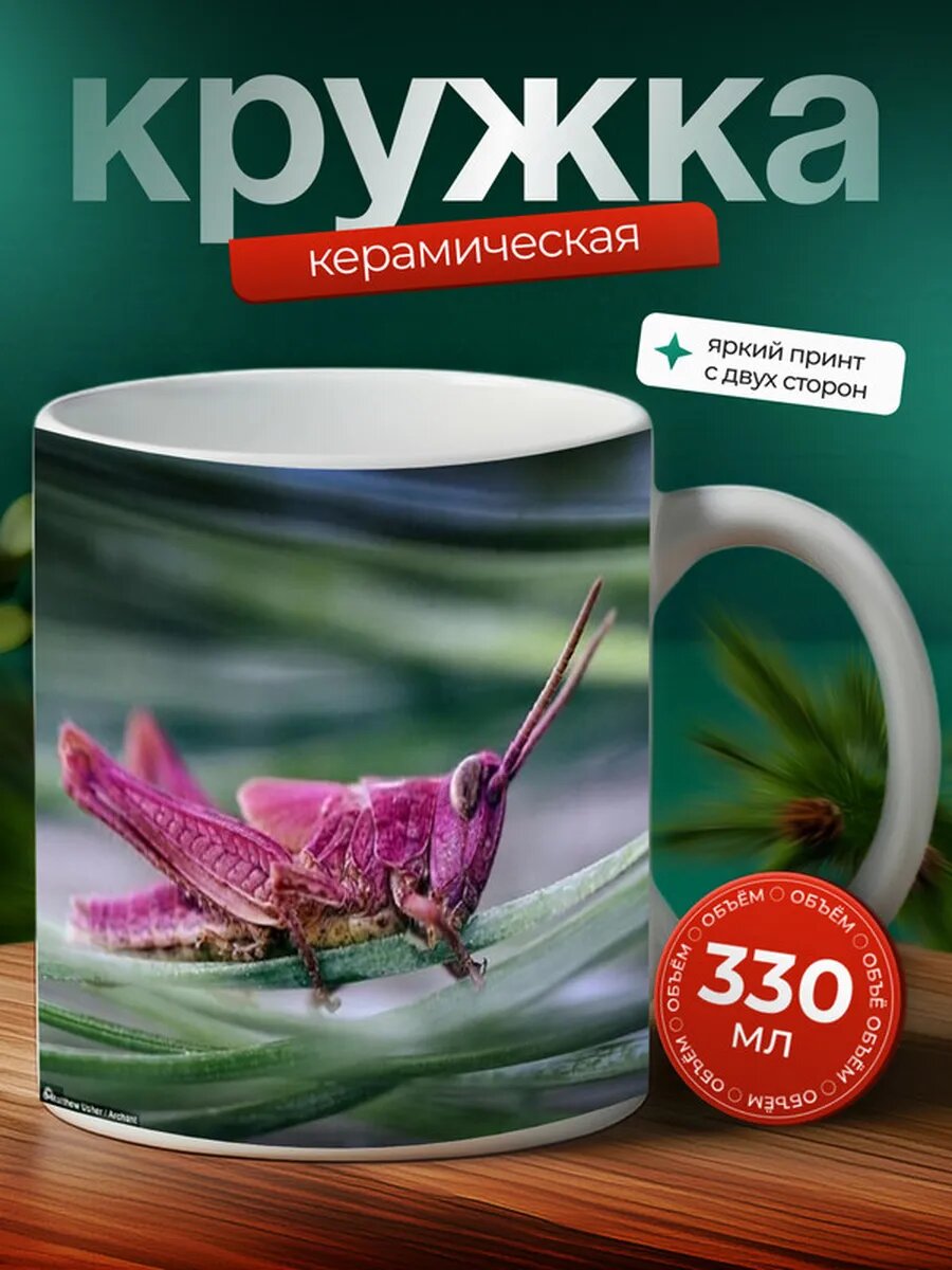 Кружка Кузнечик насекомое 21,