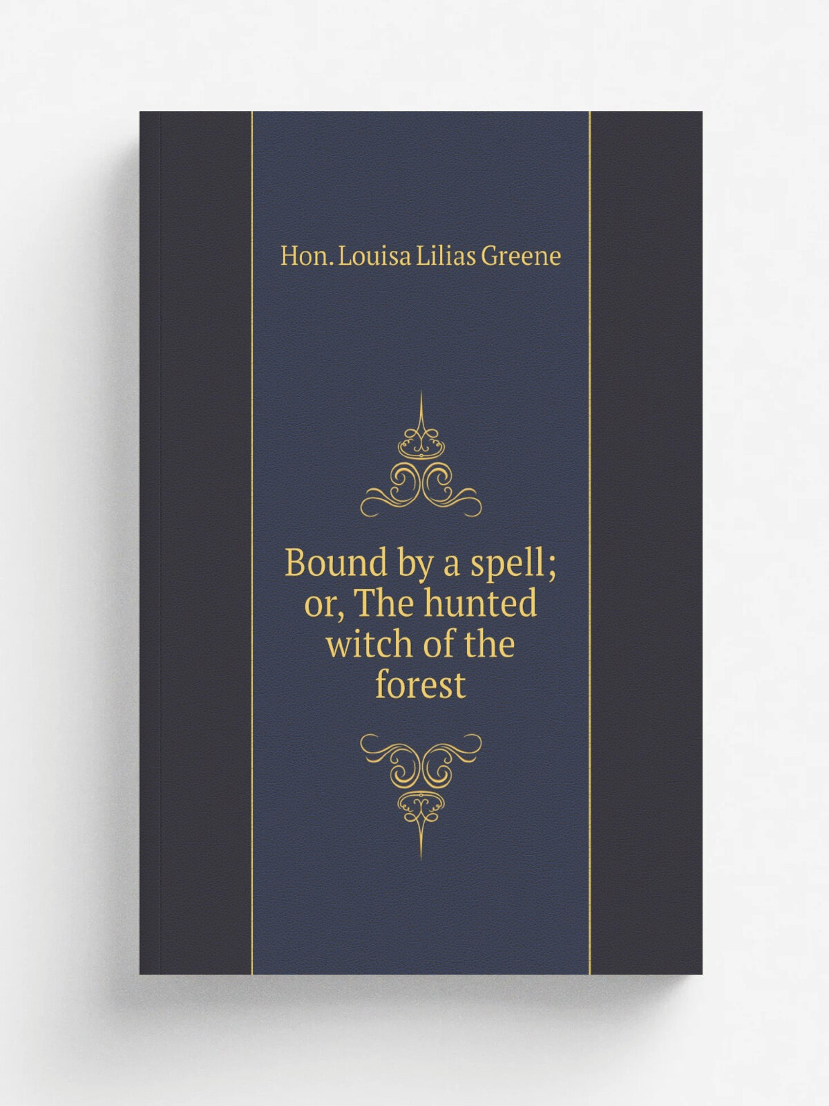 Bound by a spell; or, The hunted witch of the forest