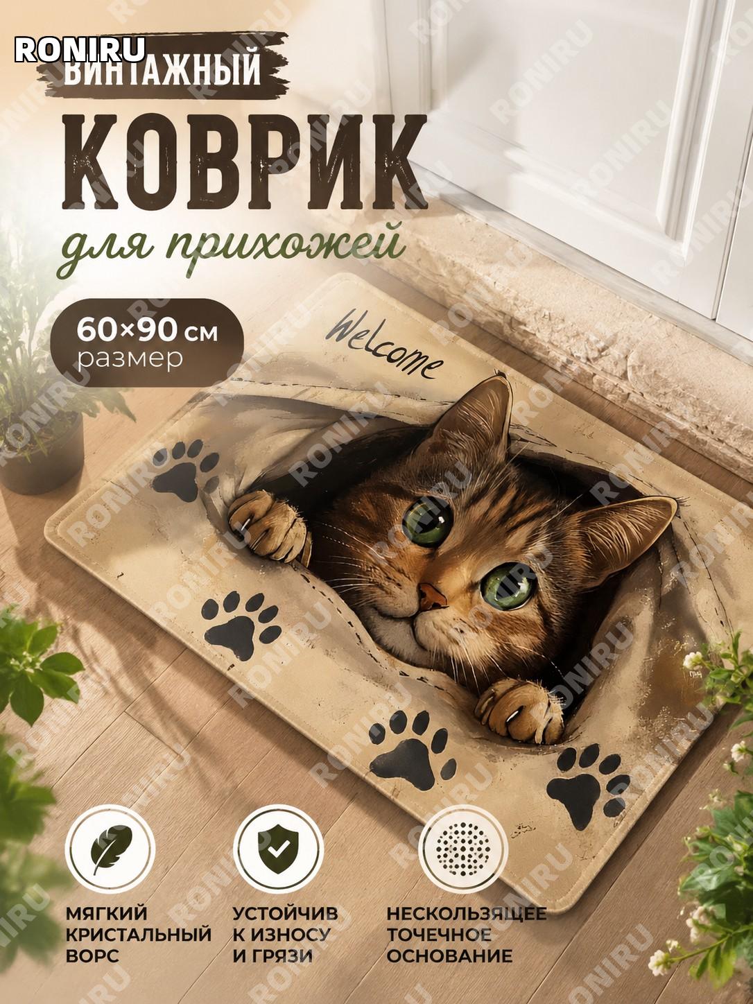 Коврик придверный 60×90 см JN коричневый с буквами-2 из хрустящего ворса с точечным покрытием для прихожей дома