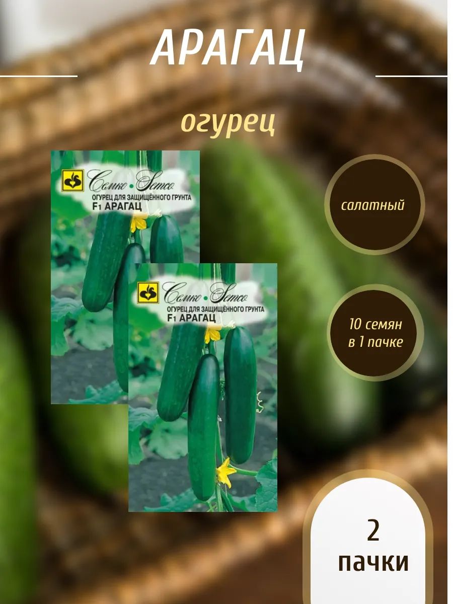 Огурец Арагац-2 пачки по 10 семян