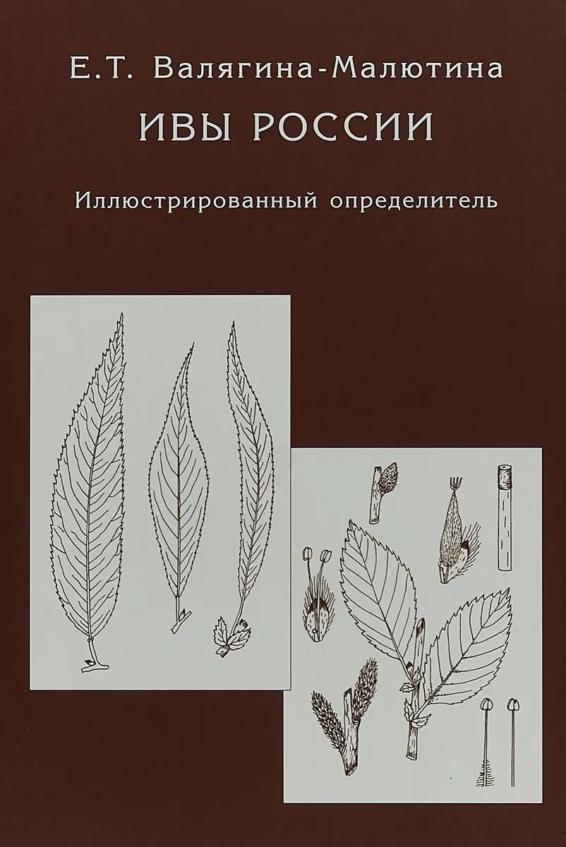 Валягина-Малютина Е. Т. Ивы России. Иллюстрированный определитель