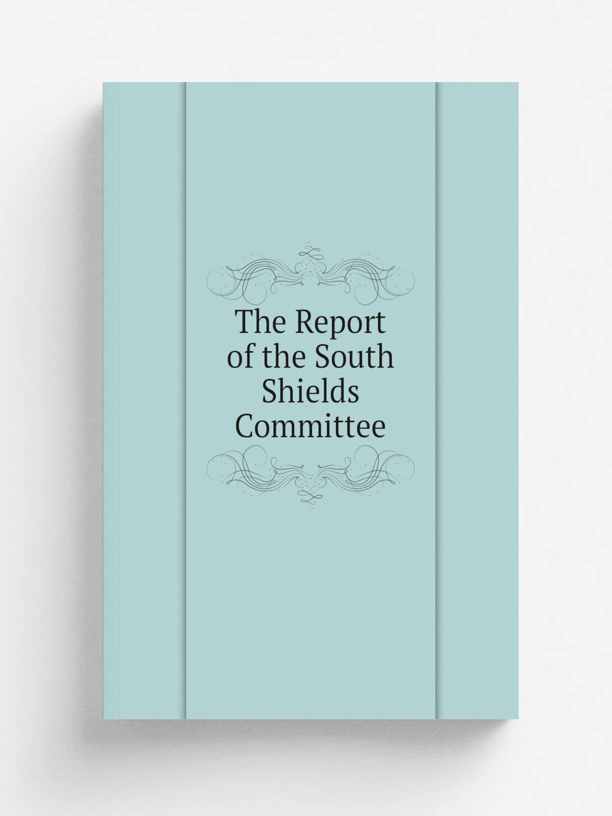 The Report of the South Shields Committee