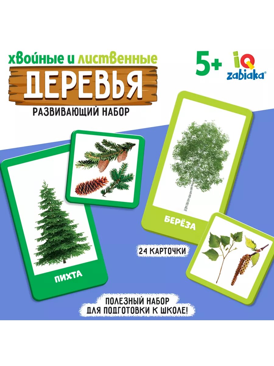 Обучающий набор «Хвойные и лиственные деревья», развивающие игрушки для детей 5+