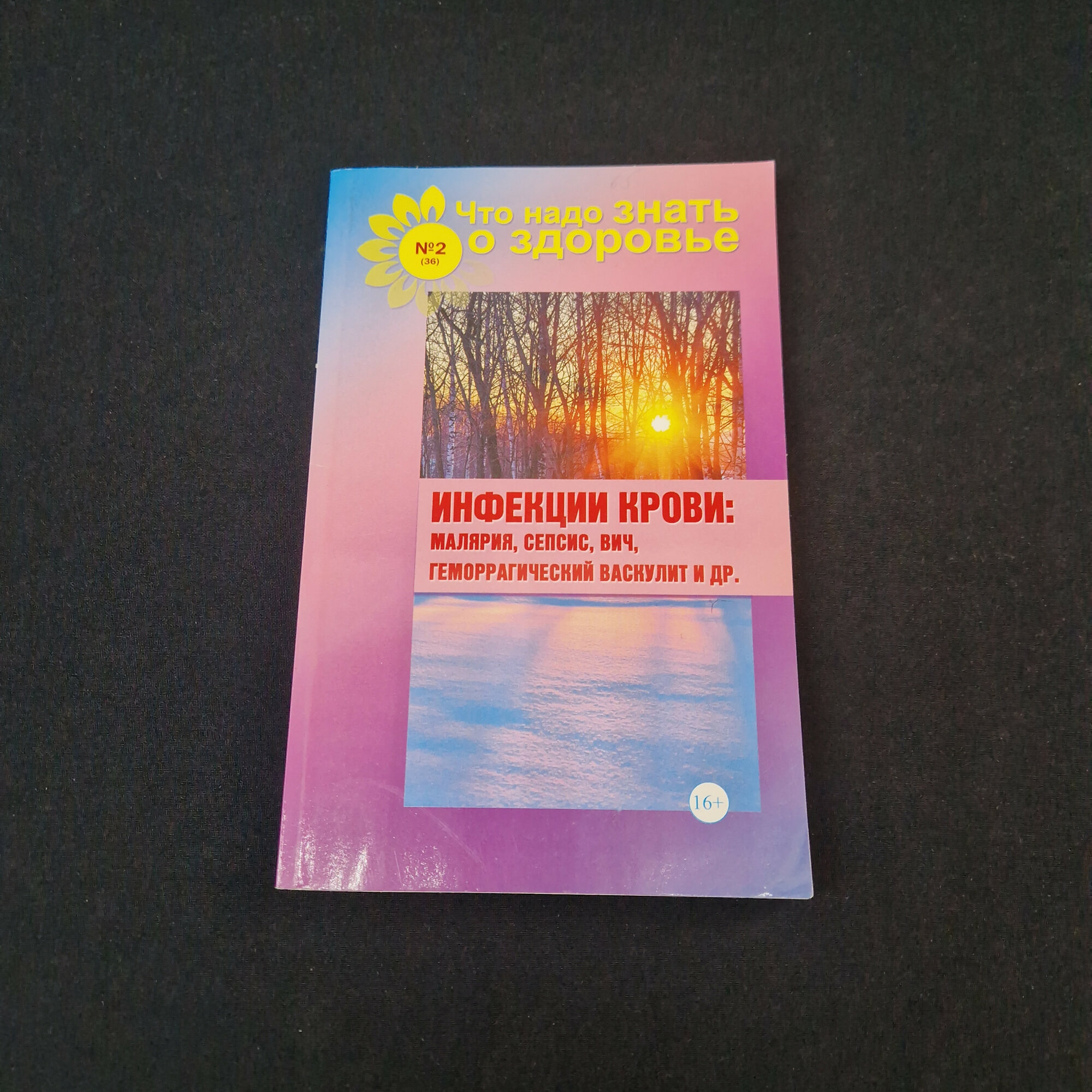 Инфекции крови: малярия, сепсис, ВИЧ, геморрагический васкулит. Книга. Здоровье.