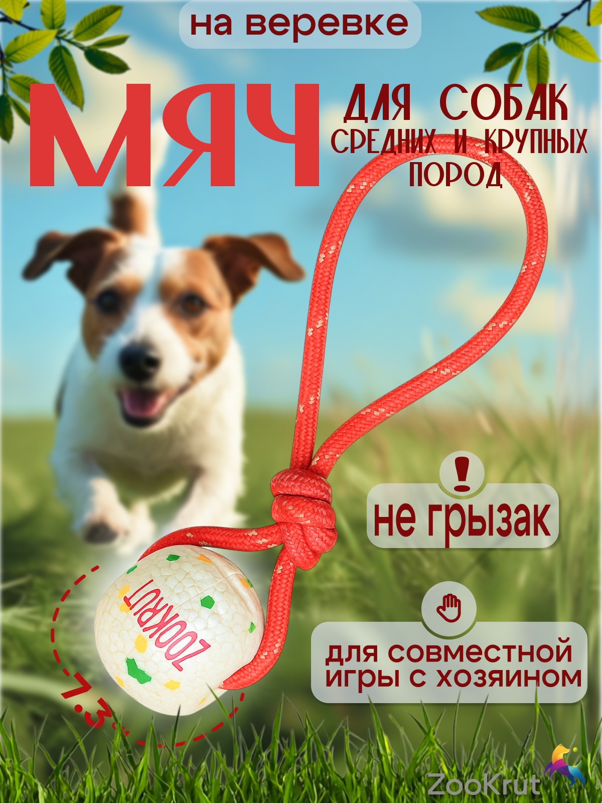 Мячик из E-TPU на веревке от ZooKrut для собак мелких пород, 6*7,3 см