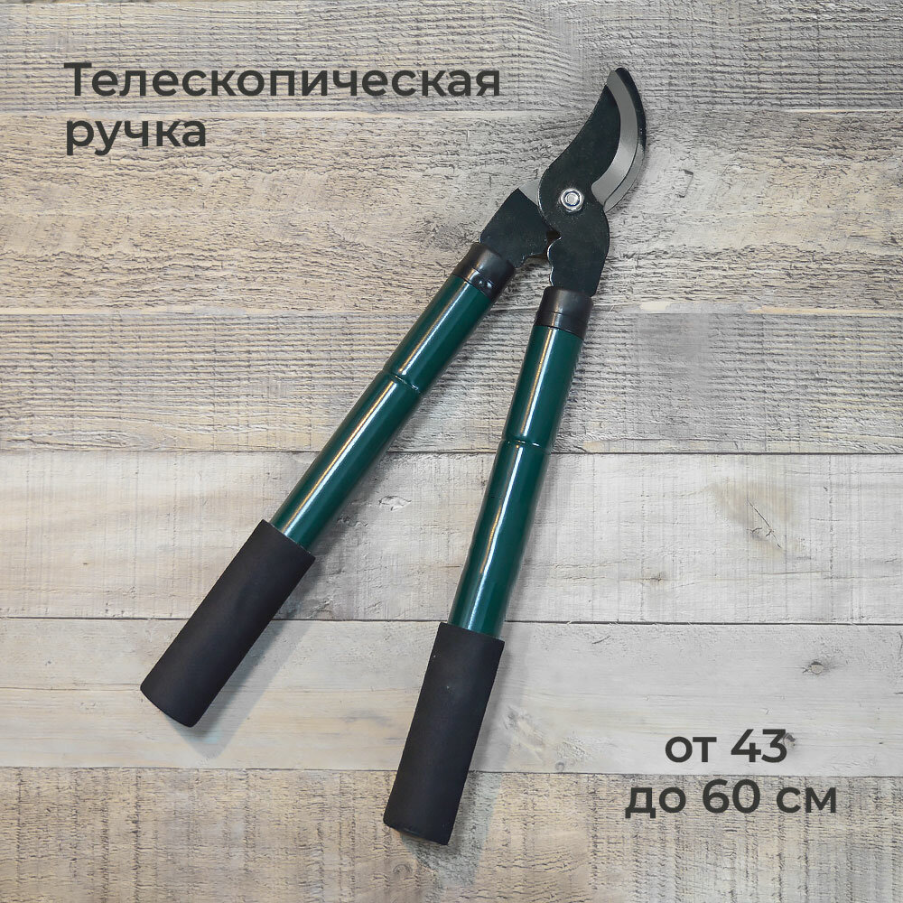 Сучкорез телескопический 43-60см, нержавеющая сталь, ручки TPR, зеленый