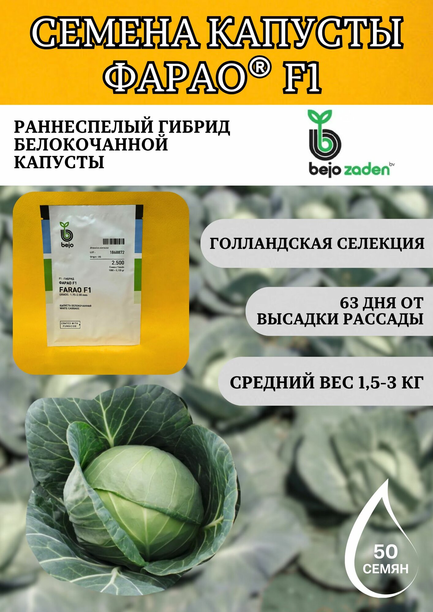 Семена капусты Фарао F1 50 штук Bejo, профессиональные семена