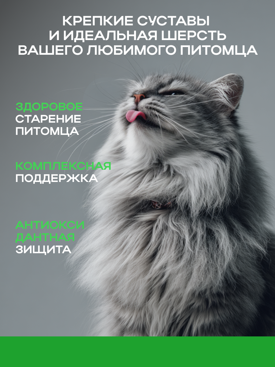 Витамины для кошек, мультивитаминный комплекс для пожилых кошек с таурином и коэнзимом Q10 — фото 1