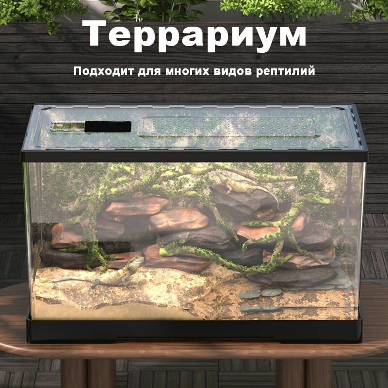 Террариум