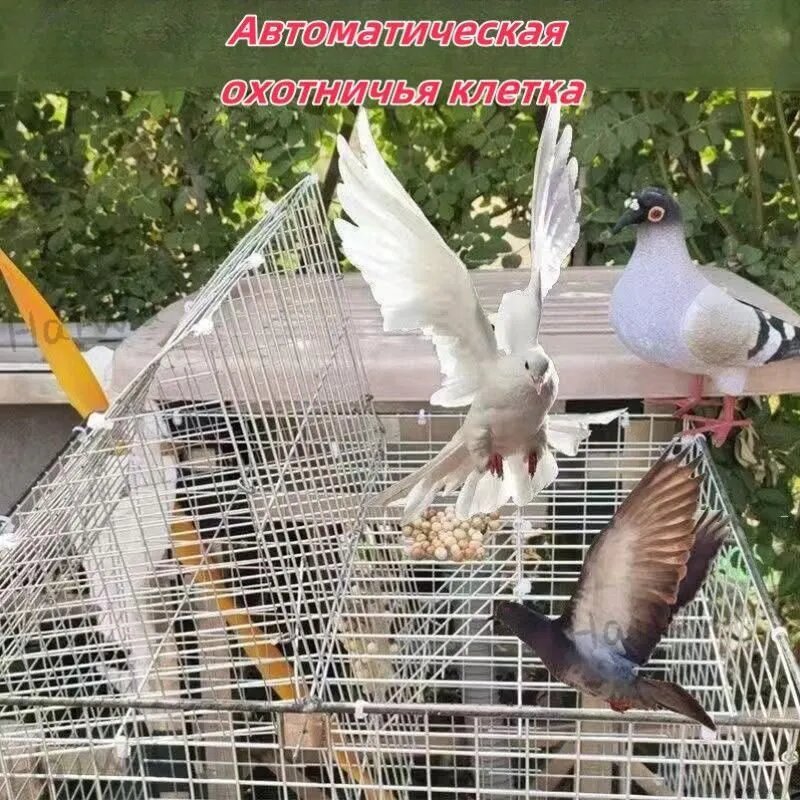 1 штука, Домашняя ловушка для птиц инструменты для кемпинга охотничьей клетки голубей, фазанов уток других птиц Cybmoon