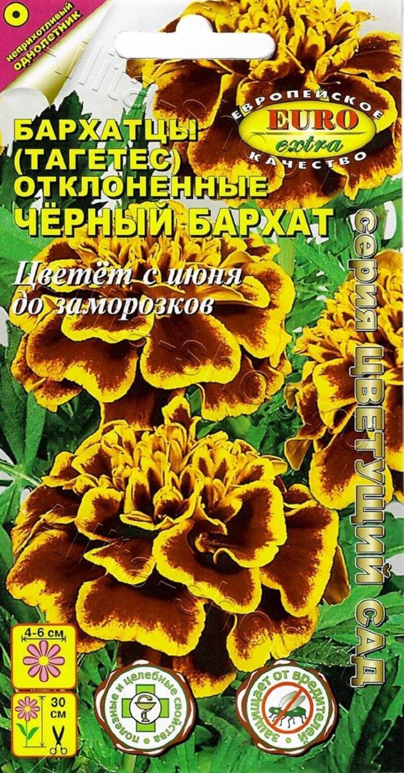 Семена Бархатцы Черный бархат отклоненные (0,1 г), Агрофирма Аэлита