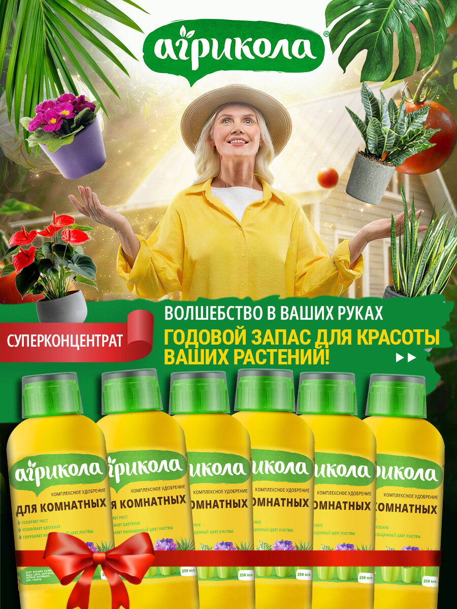 Жидкое удобрение для комнатных и балконных цветов Агрикола Аква, 6 шт по 250мл