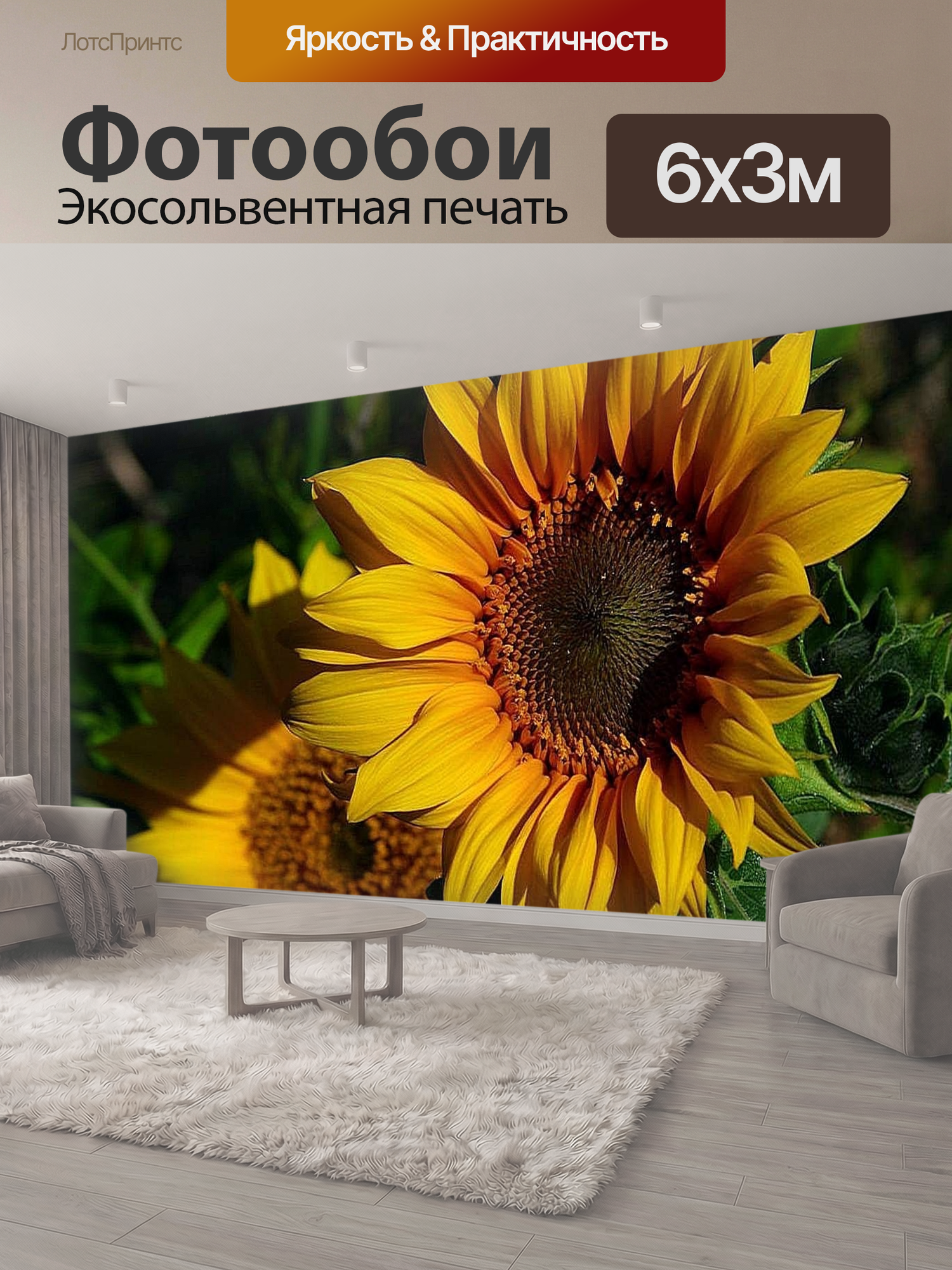 Фотообои "Подсолнухи, цветы, растения" 600x300 см. экосольвентная печать