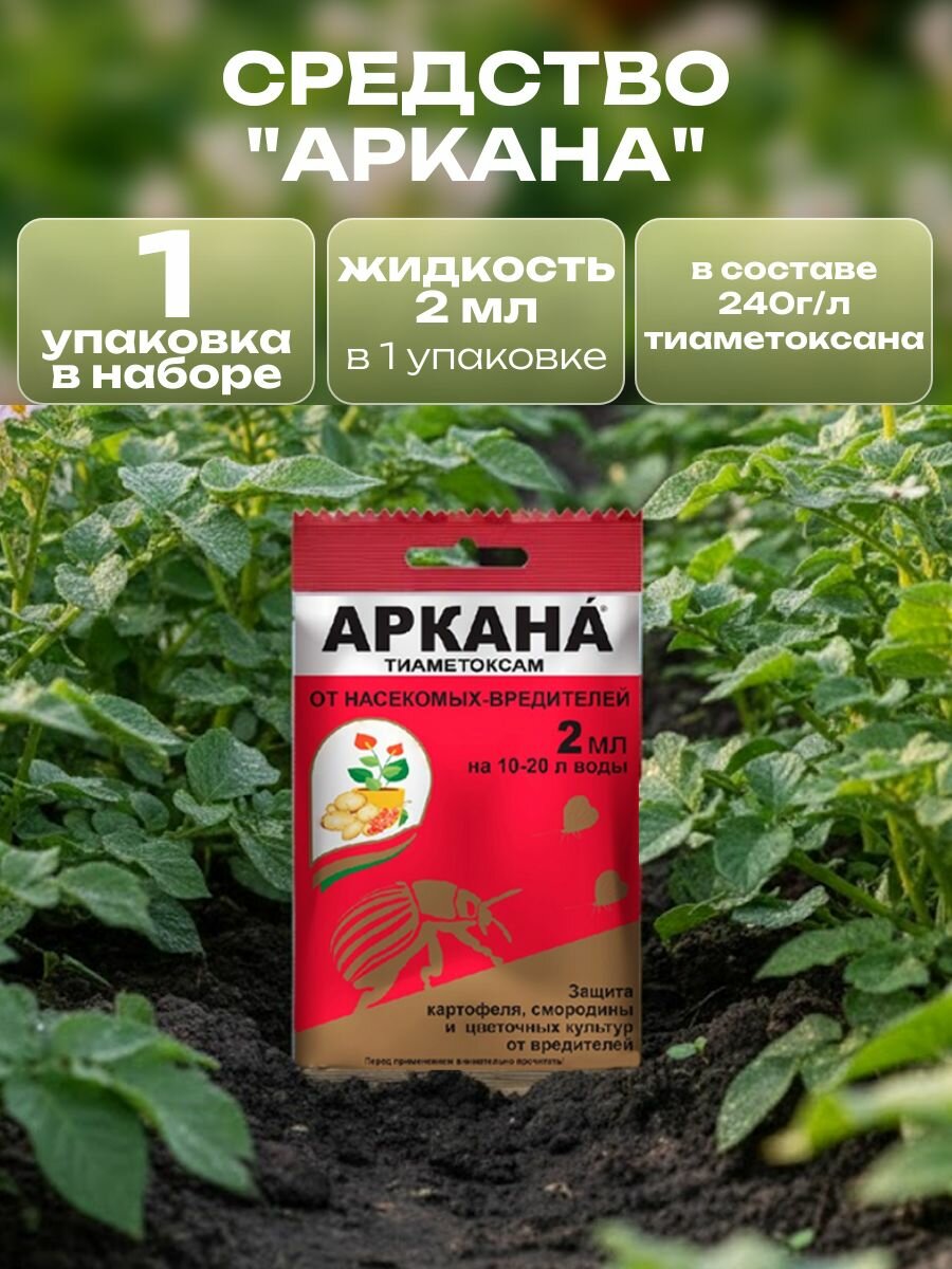 Средство от насекомых "Аркана", 2 мл от тли, белокрылки, щитовки, колорадского жука, почвенных мушек на картофеле, смородине
