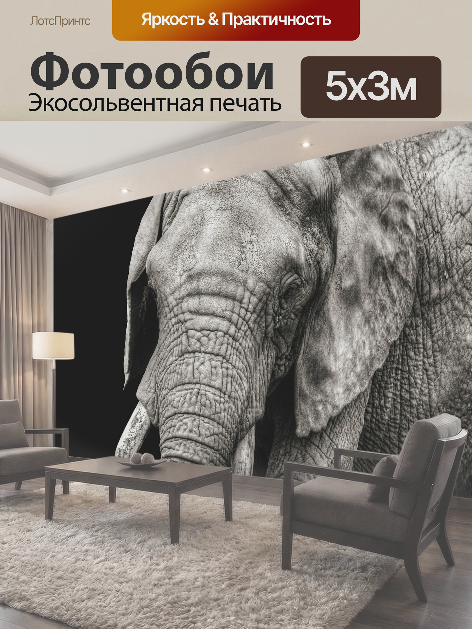 Фотообои "Слон, крупным планом, черный и белый" 500x300 см. экосольвентная печать