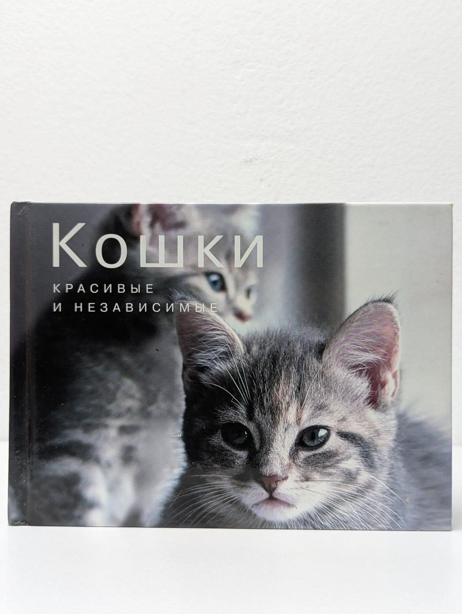 Кошки. Красивые и независимые Aveni Mary Kate 2013