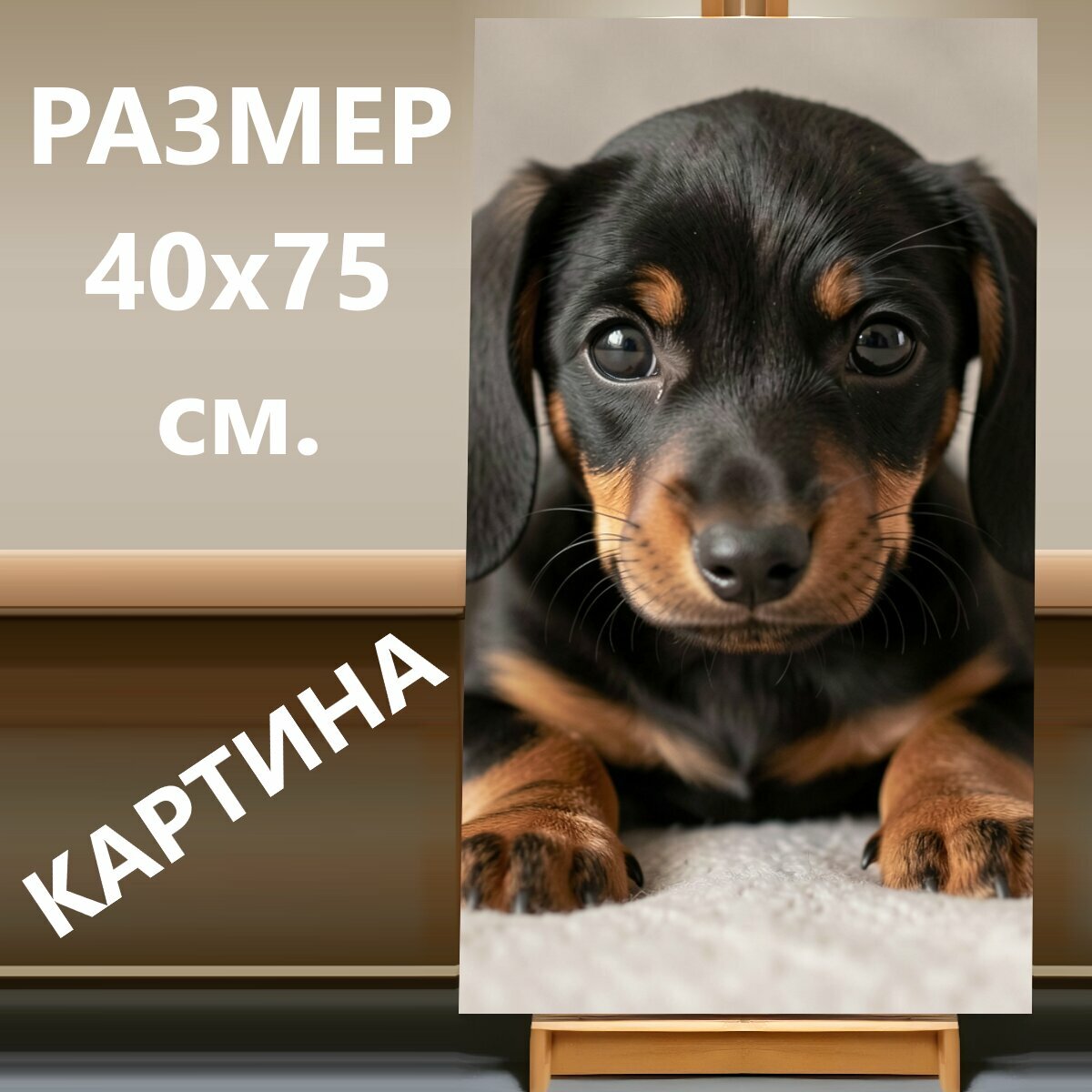 Картина на холсте "Милый щенок таксы крупным планом. Очаровательный маленький пес с блестящей черно-рыжей шерстью, длинными ушами и большими." на подрамнике 75х40 см. для интерьера