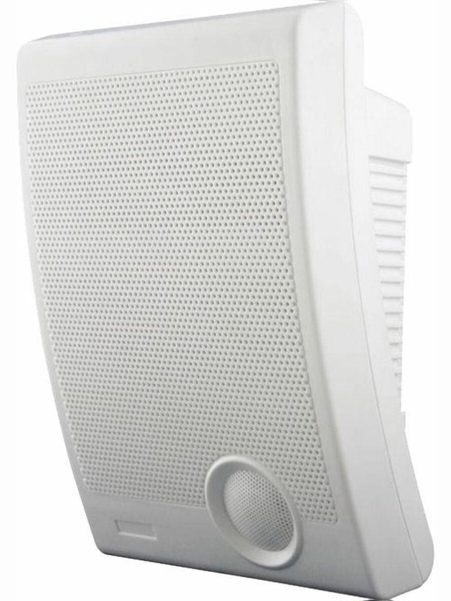 Громкоговоритель TSo-SW10a