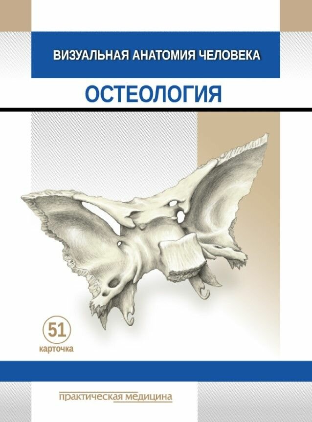 Визуальная анатомия человека. Остеология (карточки 51 шт.). Тимофеева М. О, Варенцов В. Е.