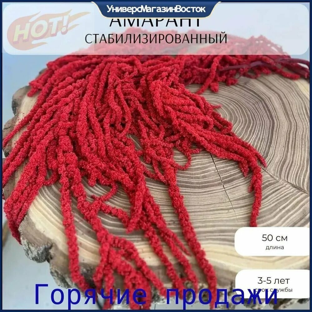 Сухоцветы Амарант, 50 см, 150 гр, 1 шт
