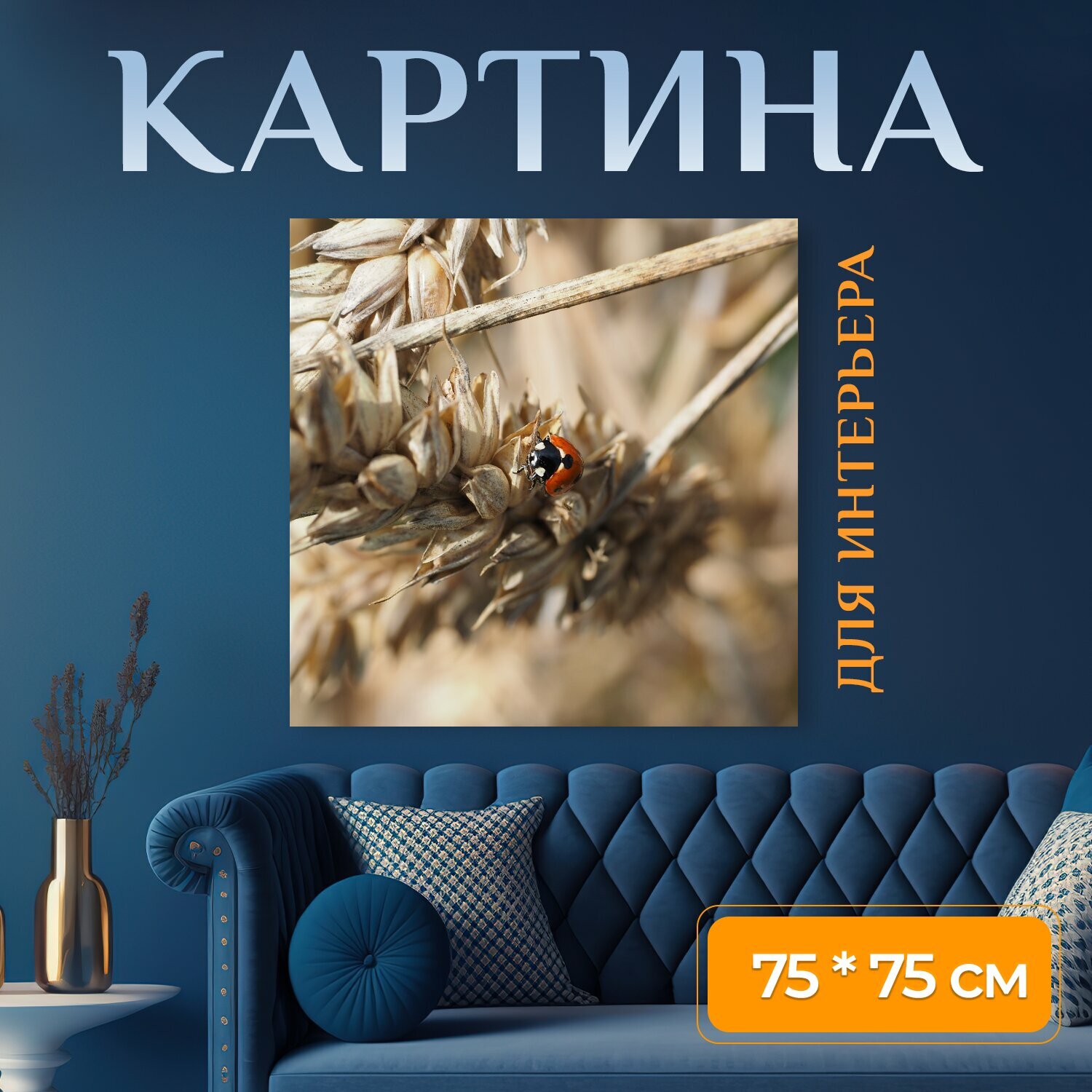 Картина на холсте "Божья коровка, жук, семь баллов" на подрамнике 75х75 см. для интерьера