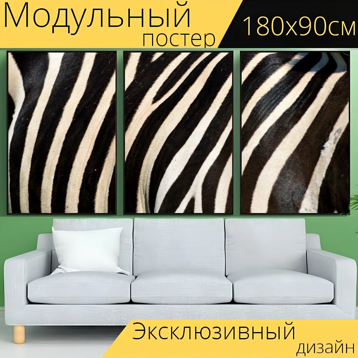 Модульный постер "Zebra fur background Зебра черно-белые полоски меха Зебра животное дикая природа черный белый полосы природа дикий." 180 x 90 см. для интерьера на стену в тубусе