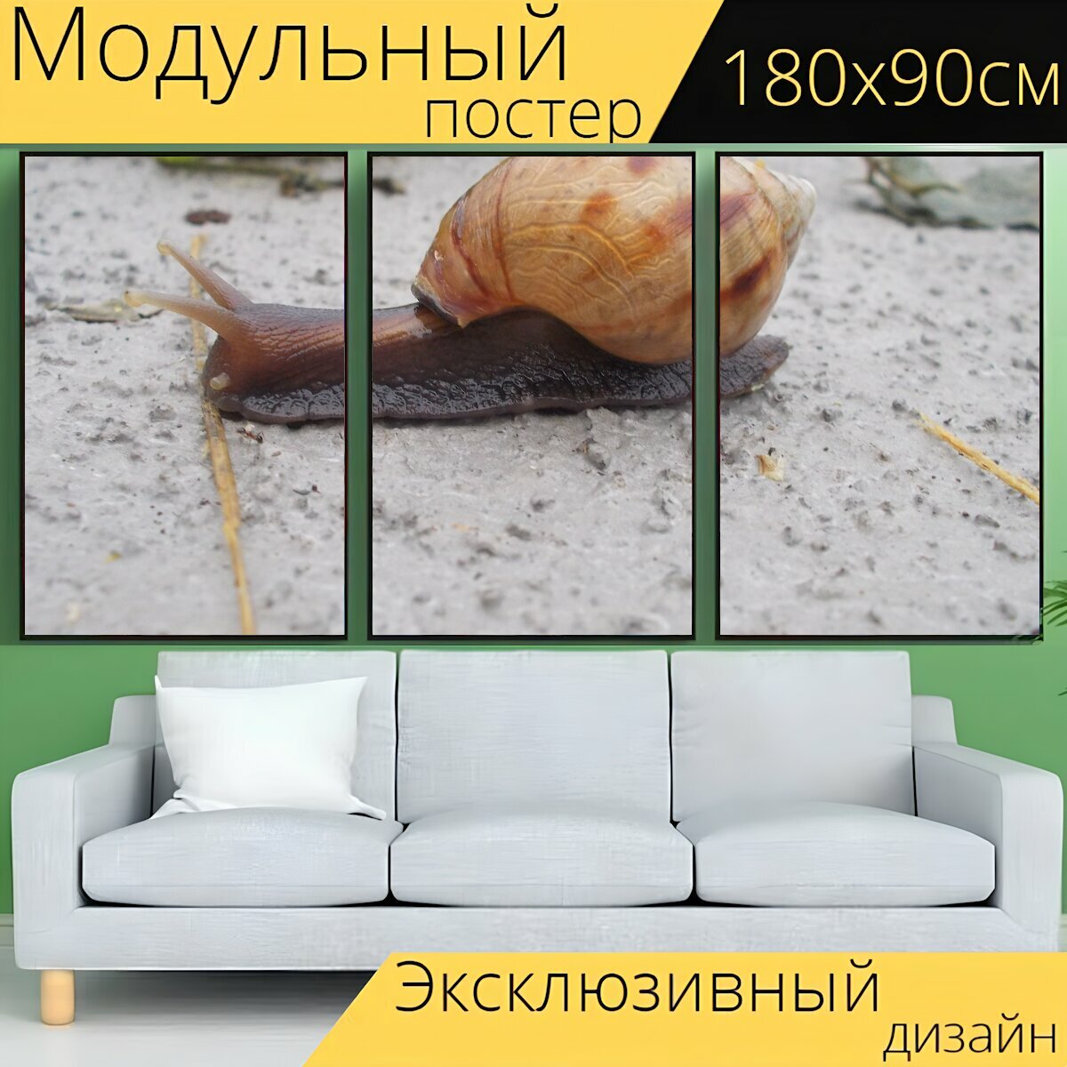 Модульный постер "Улитка, ахатина фулика, гигантская африканская улитка" 180 x 90 см. для интерьера на стену в тубусе