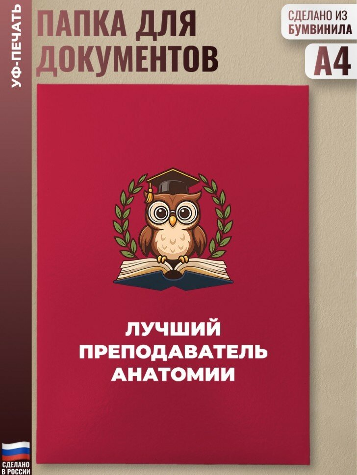 Красная папка "Лучший преподаватель анатомии"
