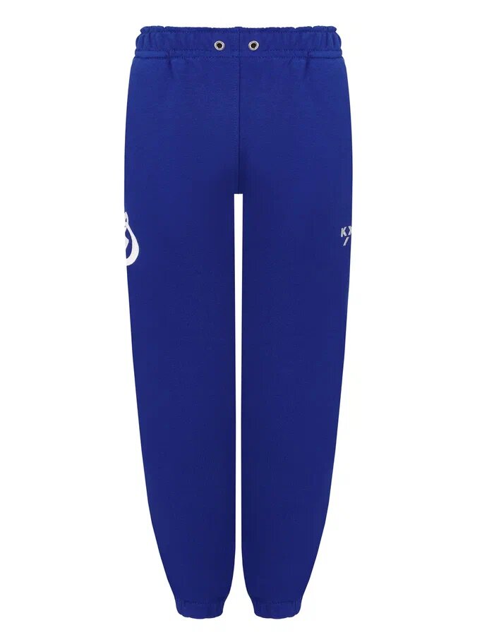 Брюки спортивные ХК ДИНАМО МОСКВА