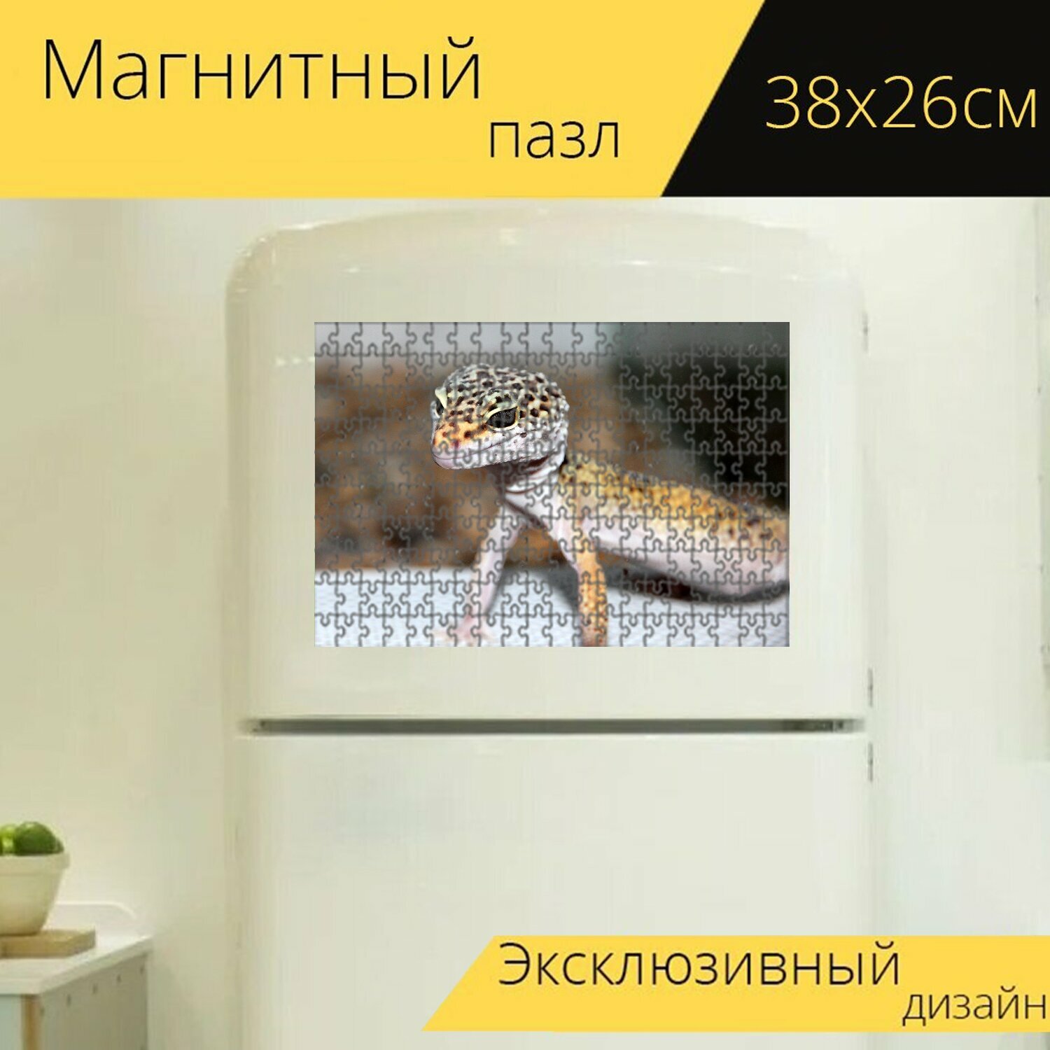 Магнитный пазл "Ящерица, эублефар, eublepharis" для интерьера, 38х26 см.
