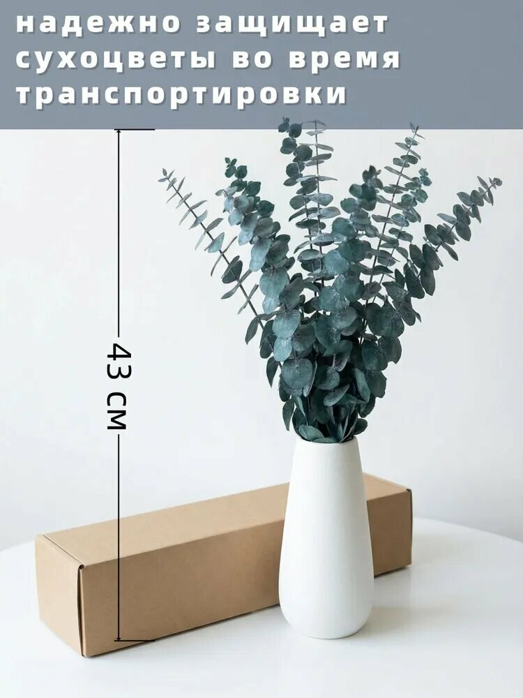 Сухоцветы Эвкалипт, 43 см, 120 гр, 1 шт