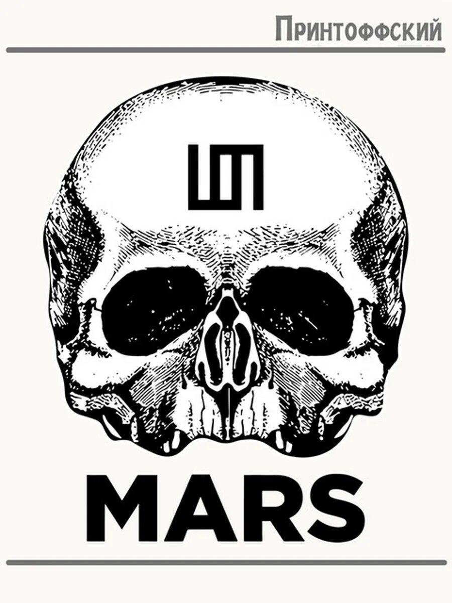 Термонаклейка для одежды и аксессуаров DTF-печать 30 seconds to Mars 30 секунд до марса
