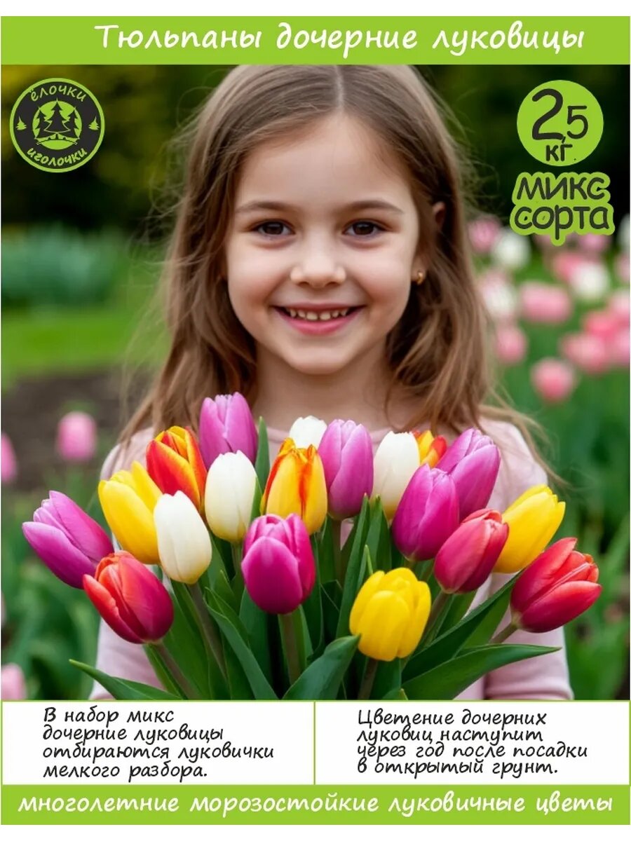Тюльпан Луковица, дочерние, 2,5 кг