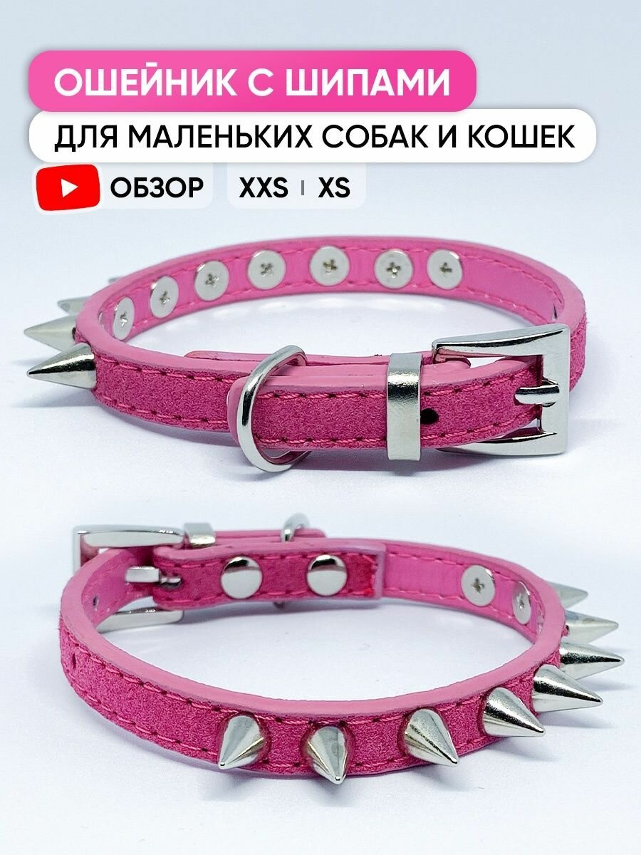 Малиновый ошейник с шипами для собак мелких пород и кошек, XS / 22см - 27см