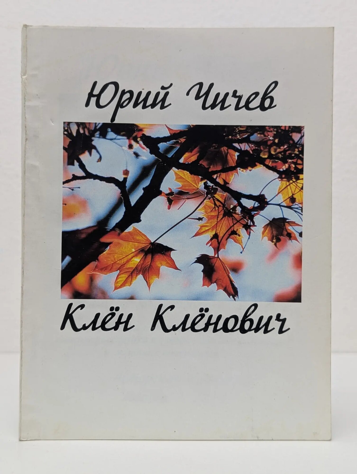 Клён Клёнович Чичев Юрий 2013